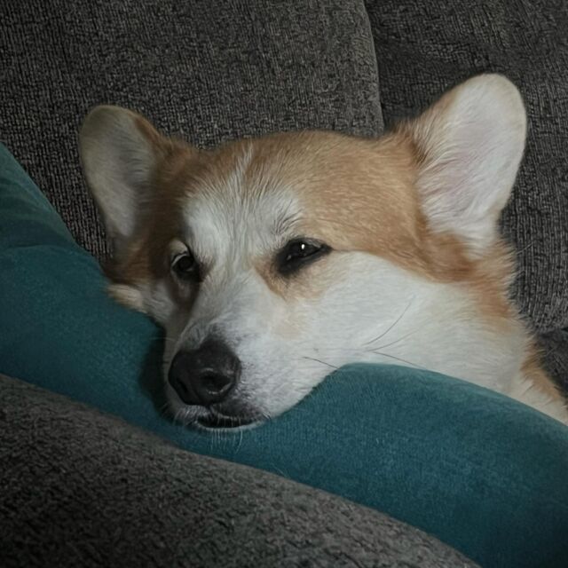 Books - Season Vining